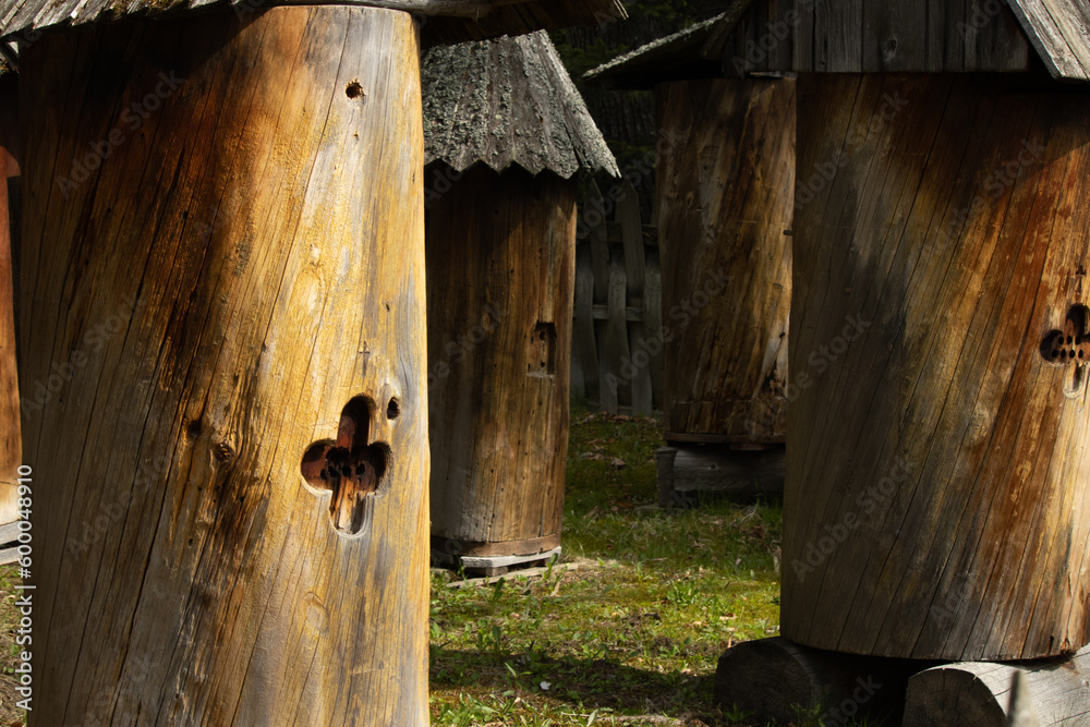 Stare ule z kłód drzew z widocznymi słojami Stock Photo | Adobe Stock