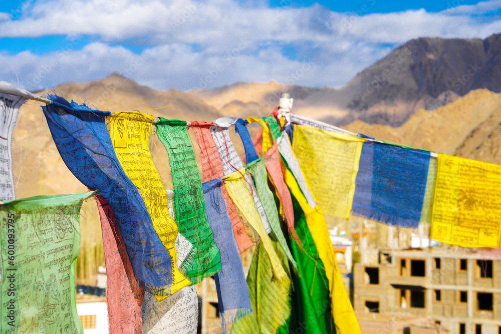 Colorful Buddhism prayer flags, lungta with Buddism symbols in Ladakh ...