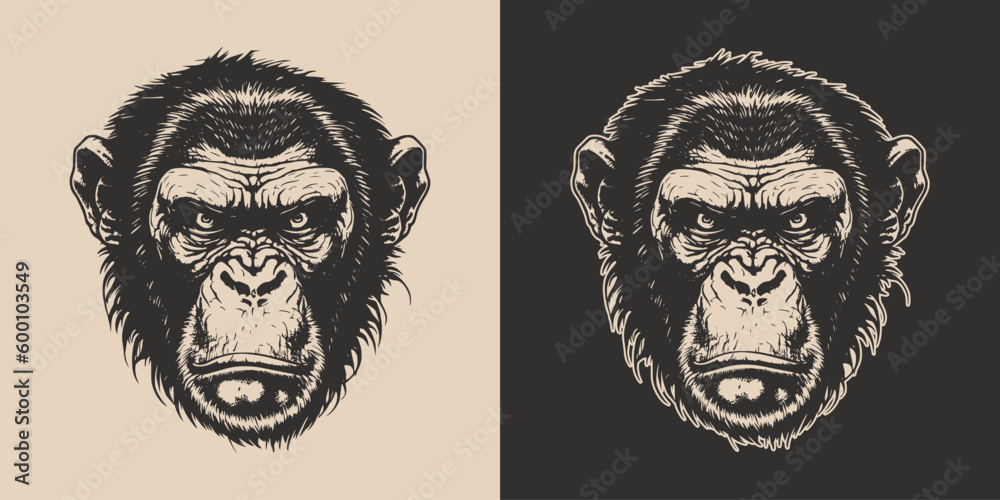 Set of vintage retro angry monkeys. Can be used for logo, emblem ...