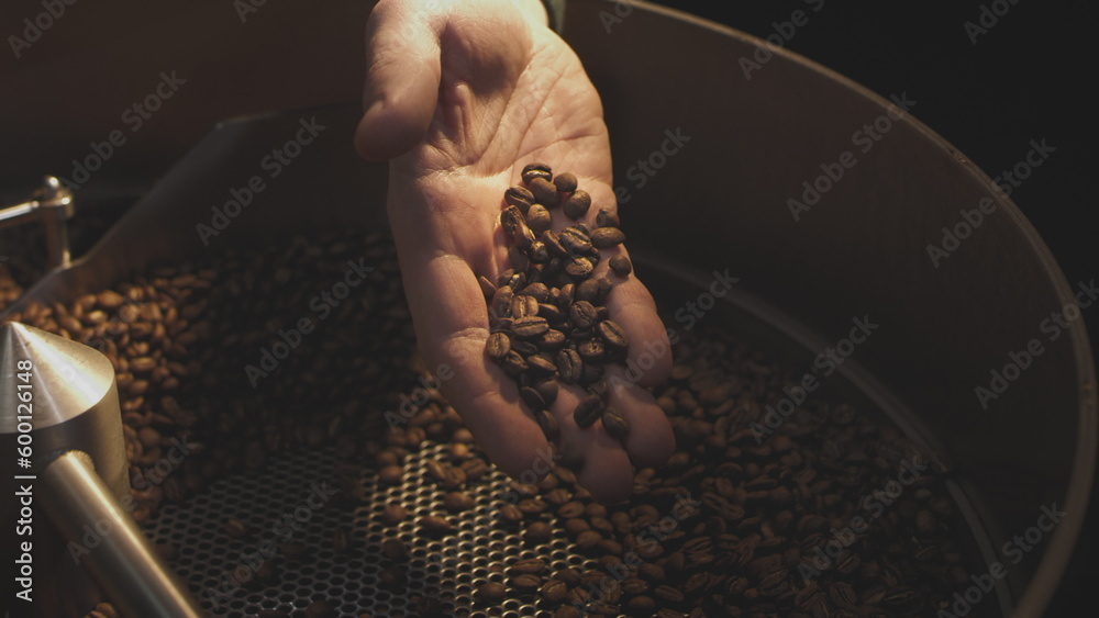 Roasting beans. A professional industrial roaster rotates organic ...