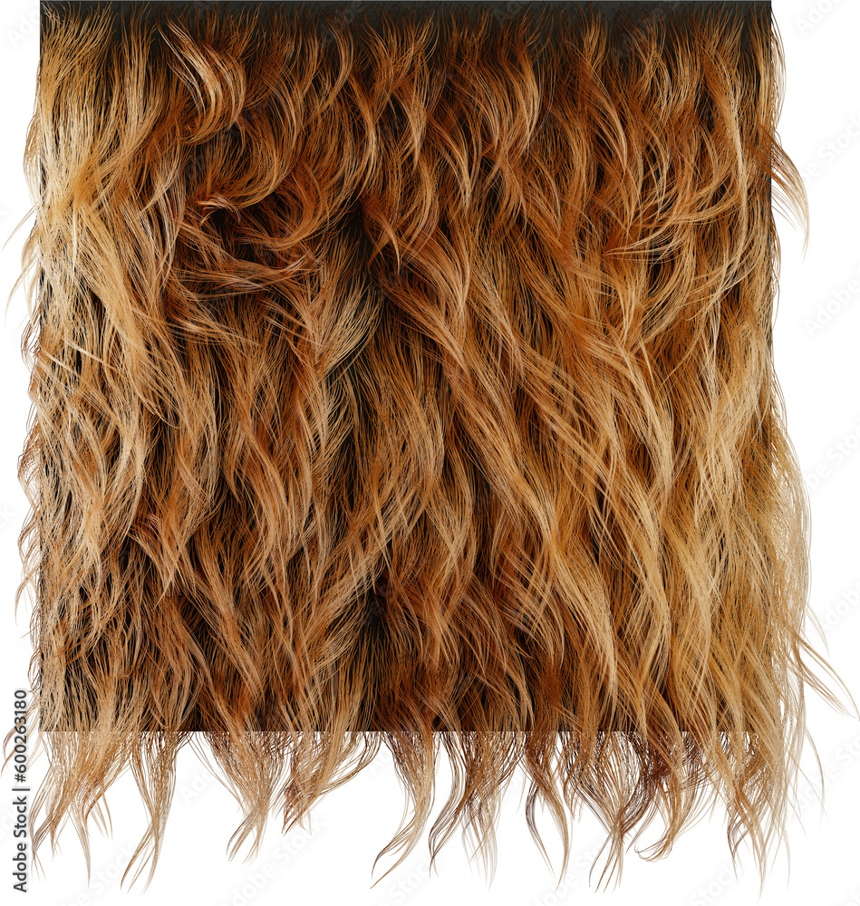 Hair sample, 3d render. Realistic female strands of hair. Beautifully ...