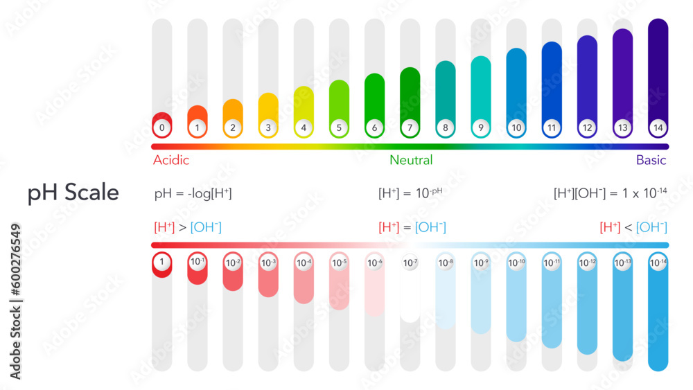 pH scale scientific vector illustration infographic Stock Vector ...