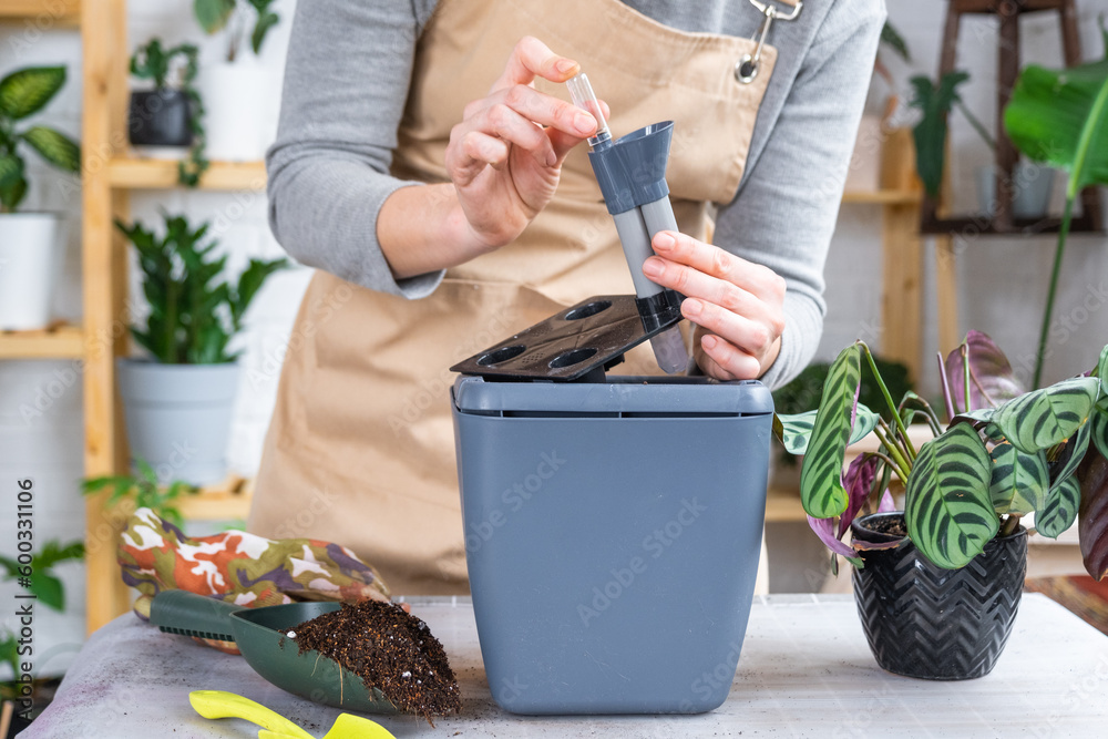 Pot for plants with automatic watering, transplanting Calathea into a ...