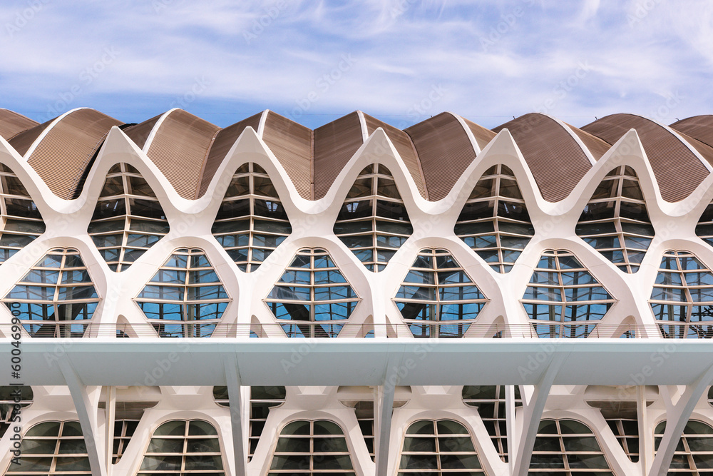 Palais des Arts à Valence en Espagne - Architecture moderne de Santiago ...