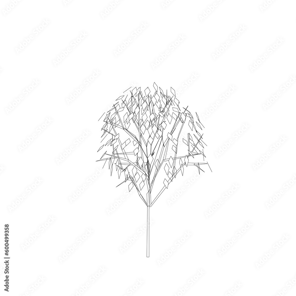 tree line drawing, Side view, graphics trees elements single object ...