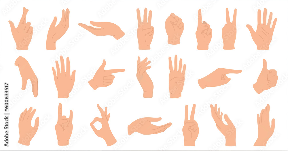 Hand Vector collection. Hand set. Hands poses. Female hand collection ...