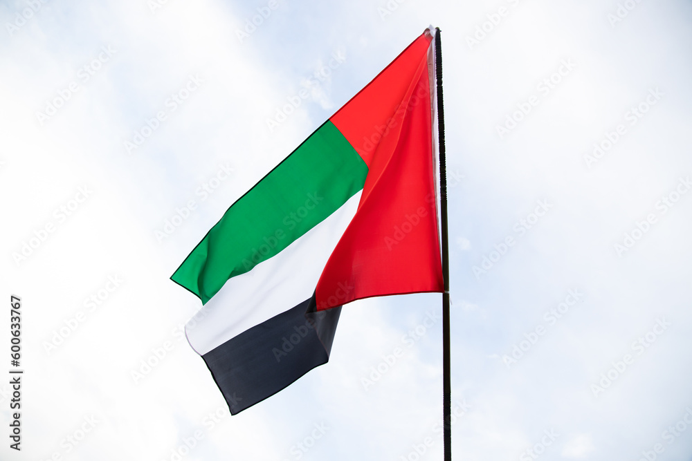 Waving fabric texture of the flag with color of United Arab Emirates ...
