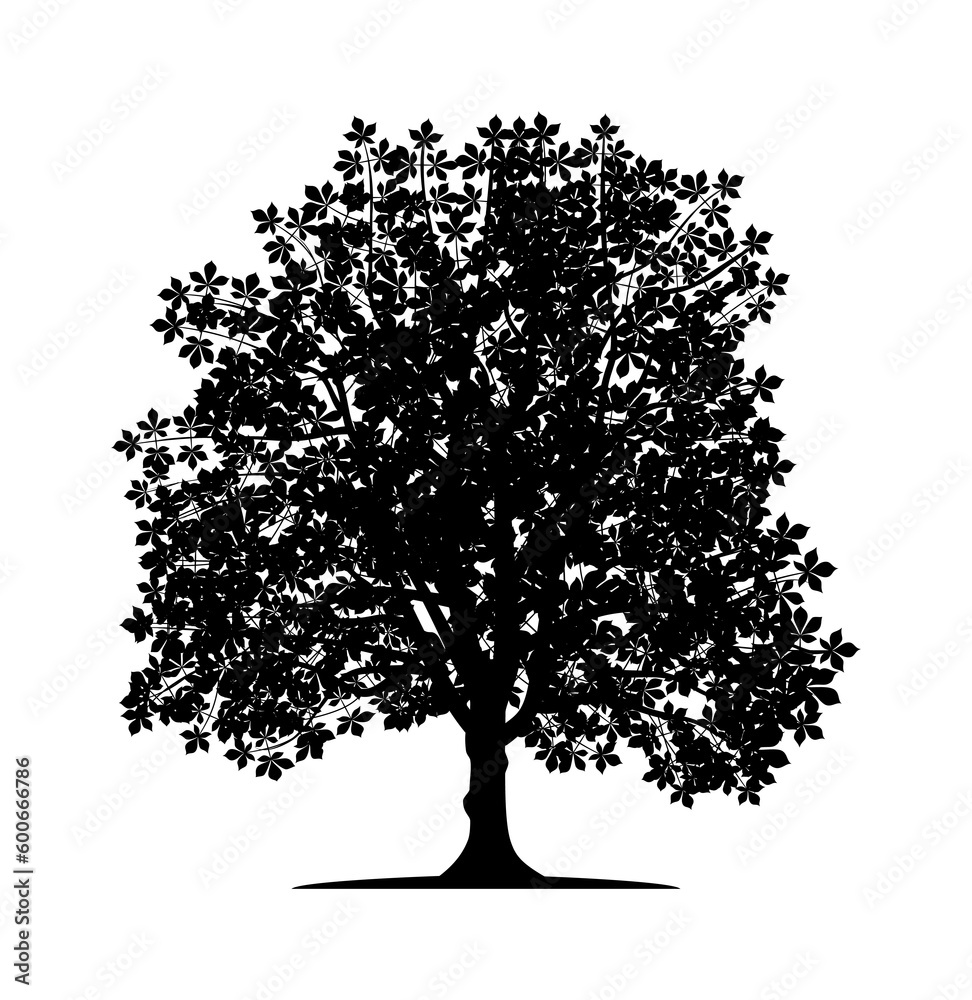 Vector silhouette of chestnut tree. Isolated vector silhouette of ...