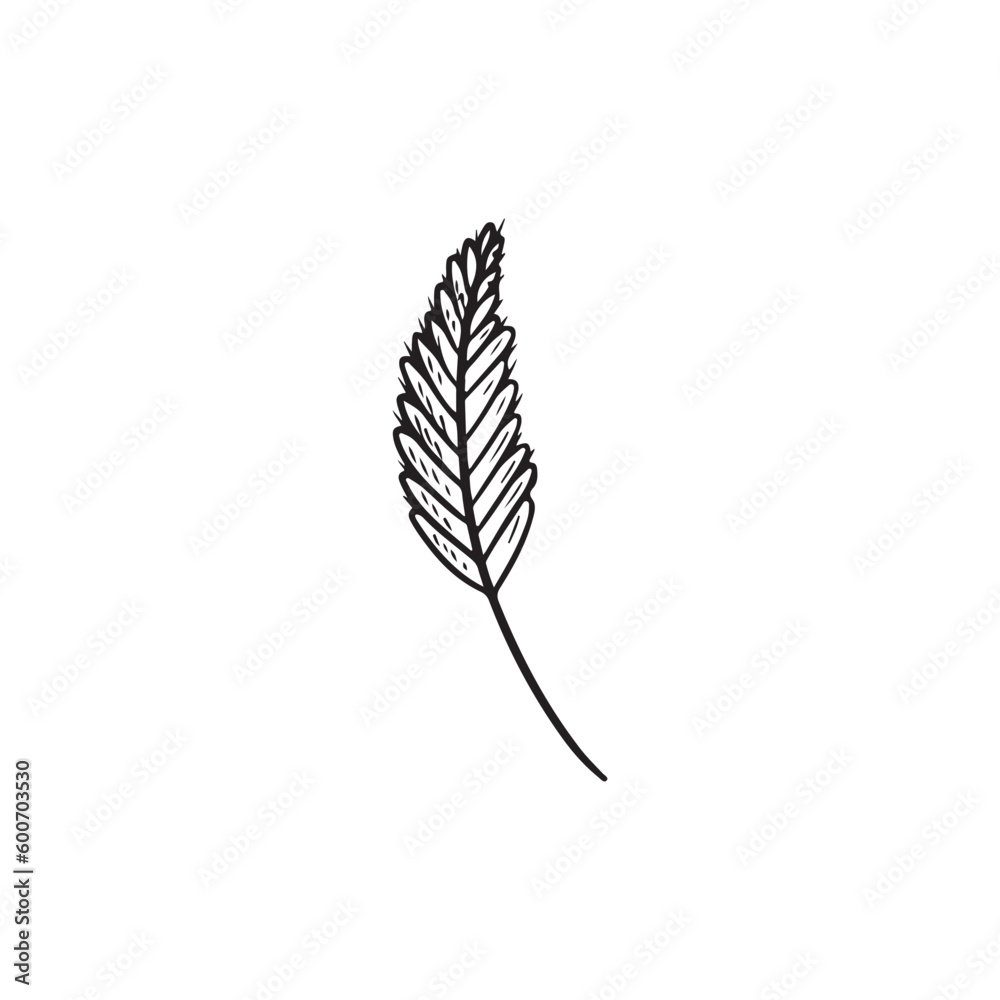 Beautiful realistic wheatear in black isolated on white background ...