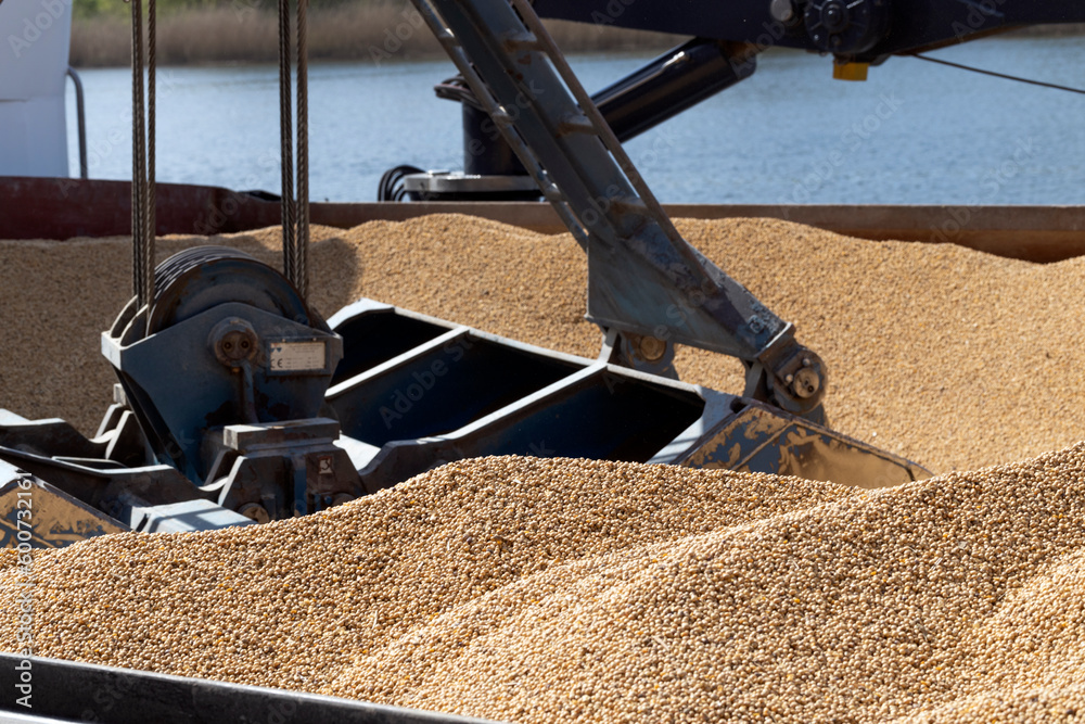 Unloading a ship of soja beans by crane. Barge. Inland vessel. River ...