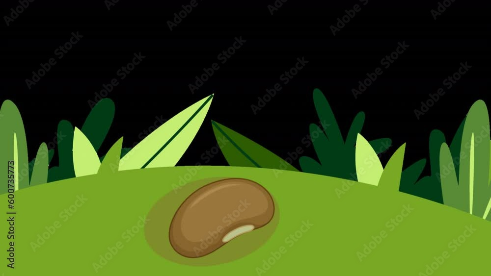 Animation 2D of a Flower Reproduction, Flower Pollination, Reproduction ...