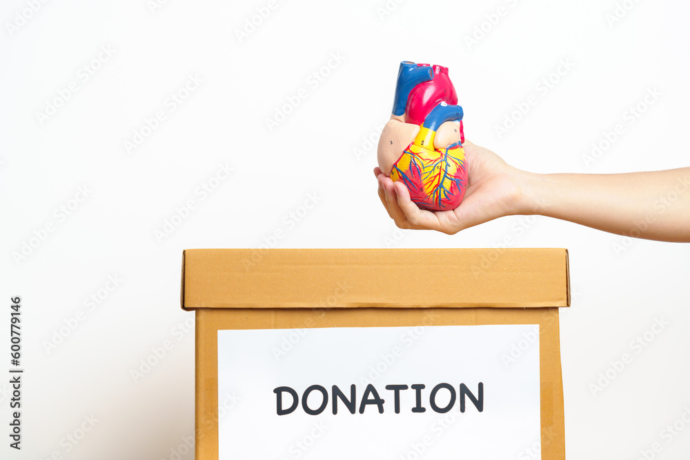 Organ Donation, Charity, Volunteer, Giving Concept. hand holding Heart ...