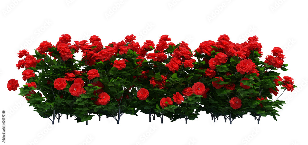 red rose tree png images _ flower bush images _ tree images _ red rose ...