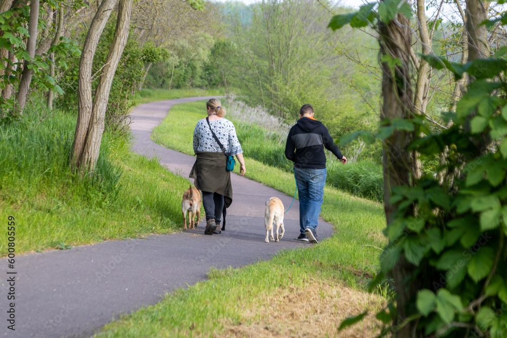 Menschen mit Hunden beim Spaziergang in der Natur Stock Photo | Adobe Stock