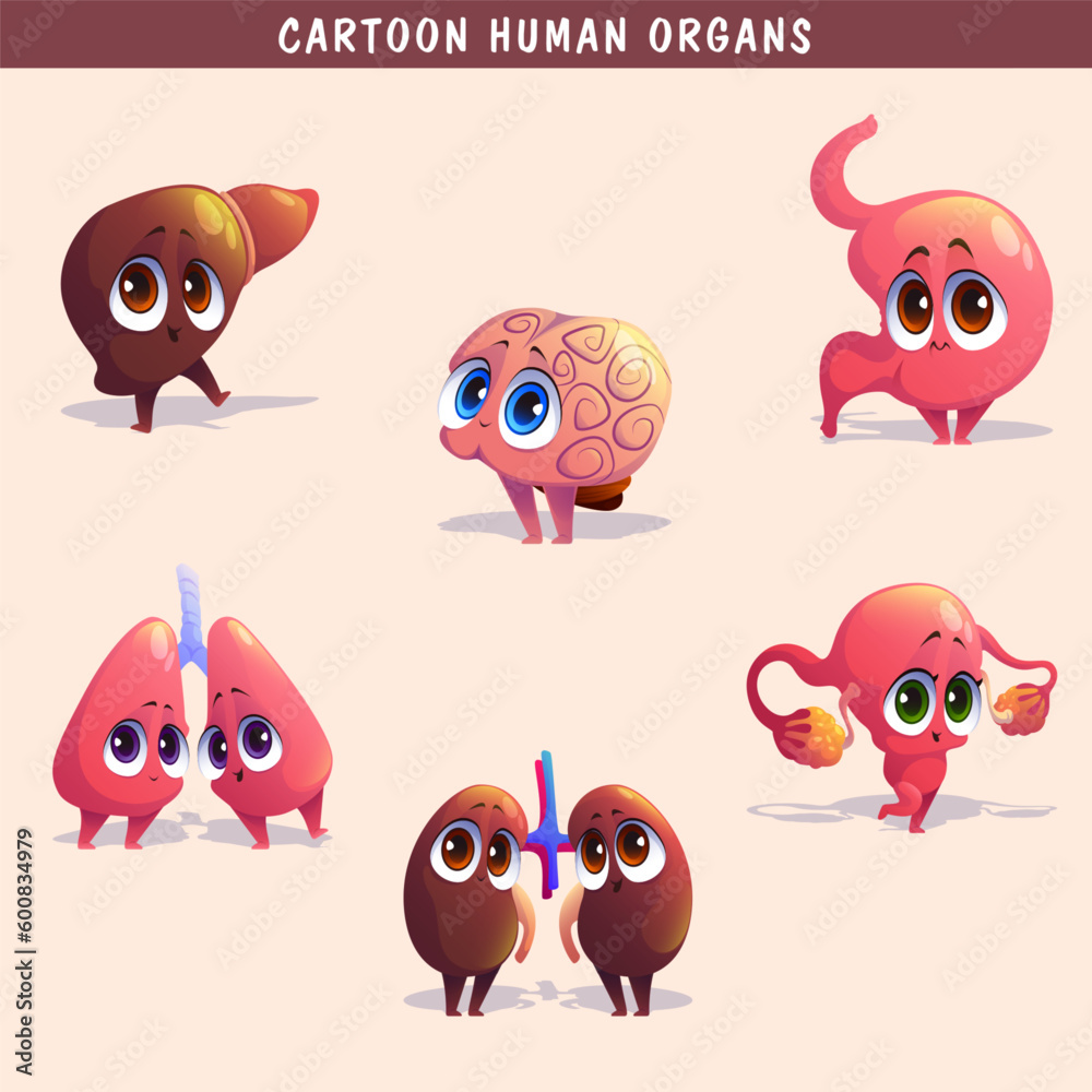 Cartoon human organs set with liver pancreas heart female reproductive ...