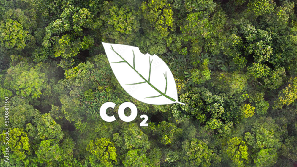 Symbol CO2 from clouds with leaf in the middle of jungle.Reduce CO2 ...