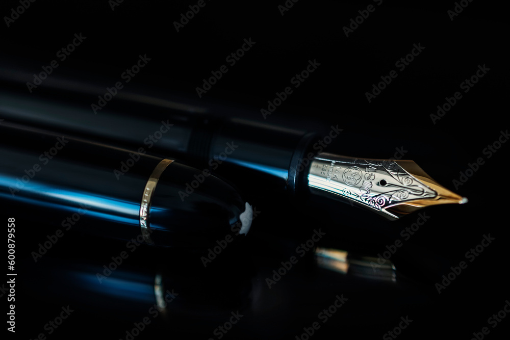 Montblanc Meisterstück 149 fountain pen. Pen with gold nib and embossed ...