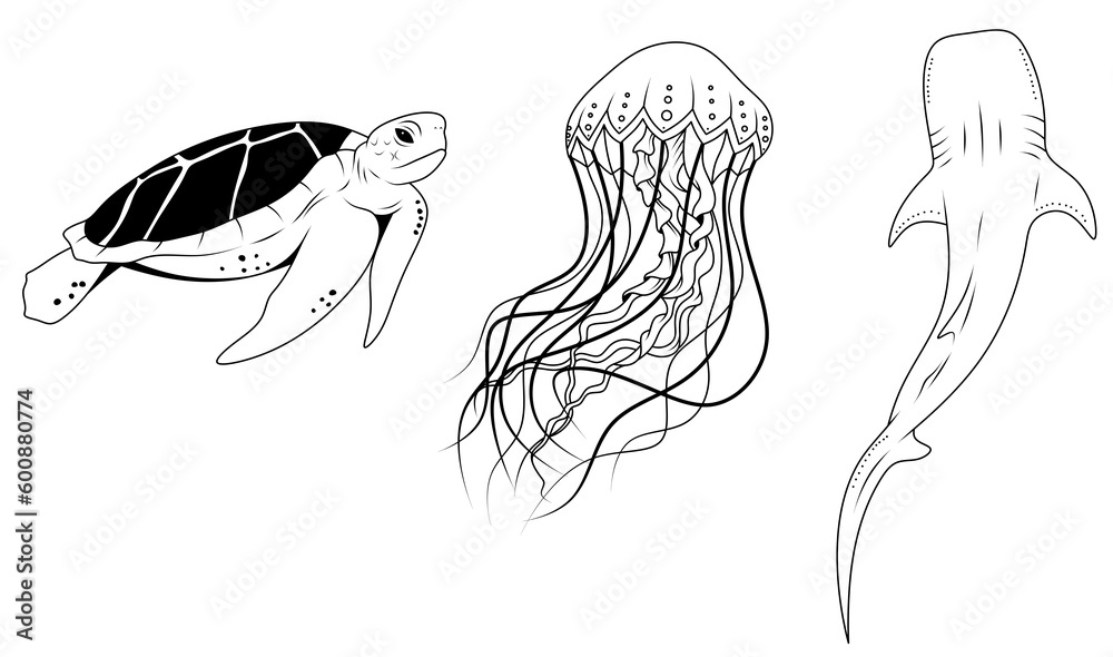 Sea creatures. Animals that live in the ocean. Turtle, jellyfish, shark ...