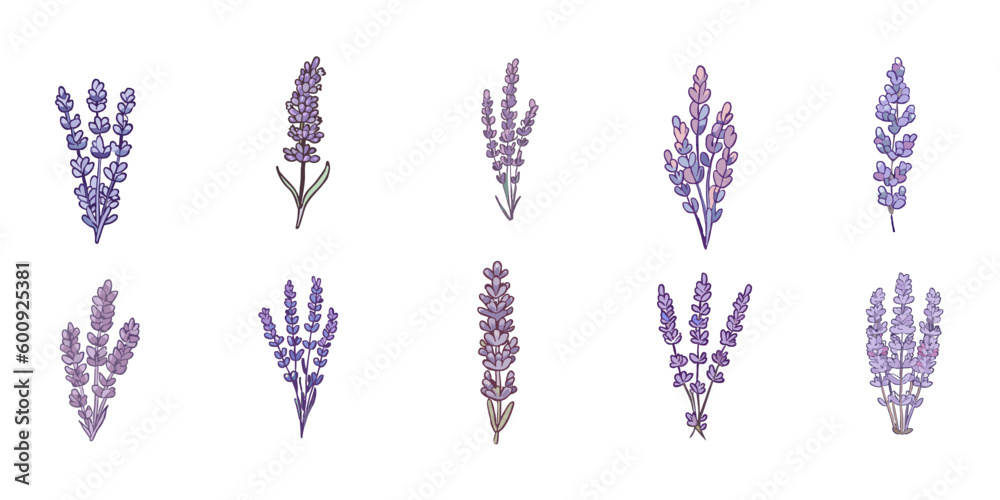 lavender vector set collection graphic clipart design Stock Vector ...