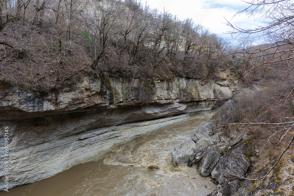 Mountain river , spring flood with rising water levels due to snowmelt ...