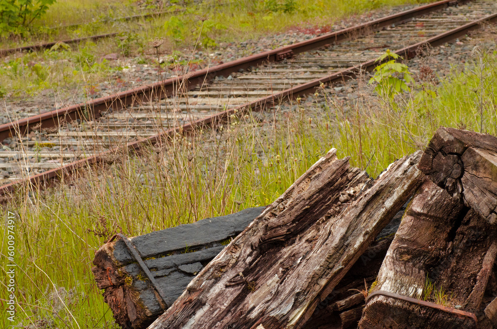 chemin de fer abandonné - rails rouillés au milieu de la végétation ...