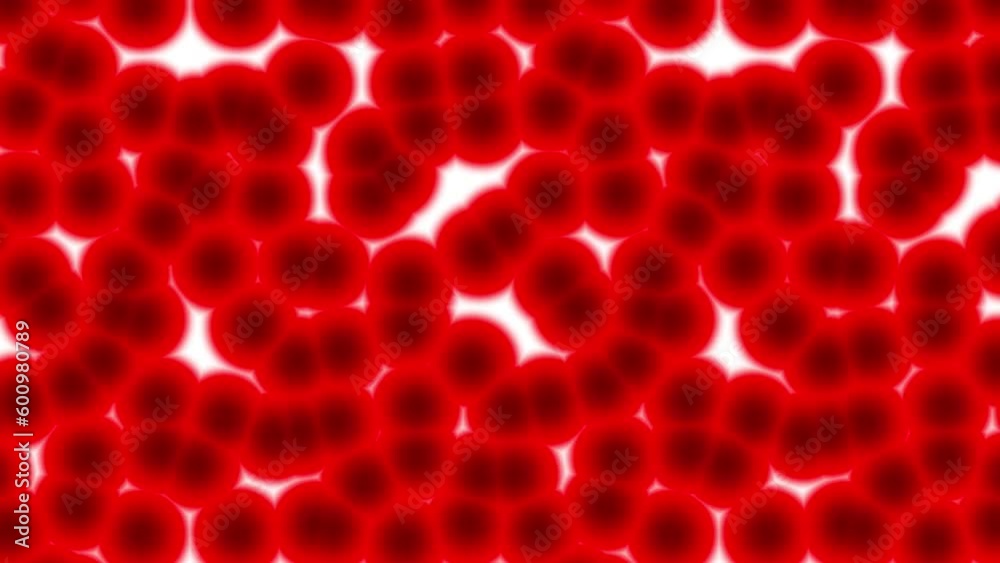 Video Stock dynamic motion of magnified red blood cells flowing. The ...