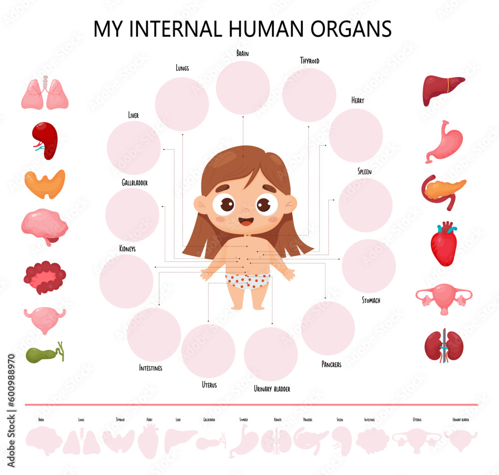 Anatomy human body. Infographics with cute girl. Visual scheme healthy ...