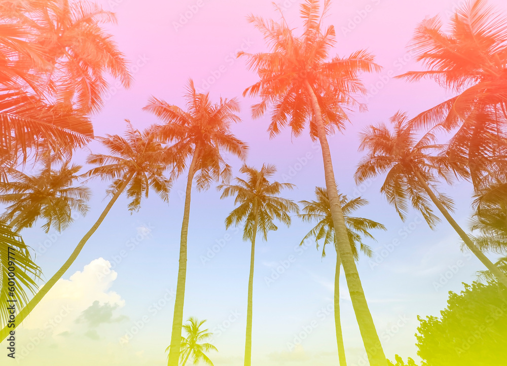 Summer with colorful theme as palm trees background as texture frame ...