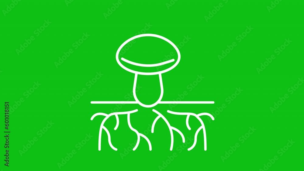 Animated mycelium white line icon. Growing roots line animation ...