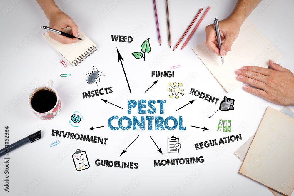 Pest Control Concept. The meeting at the white office table Stock Photo ...