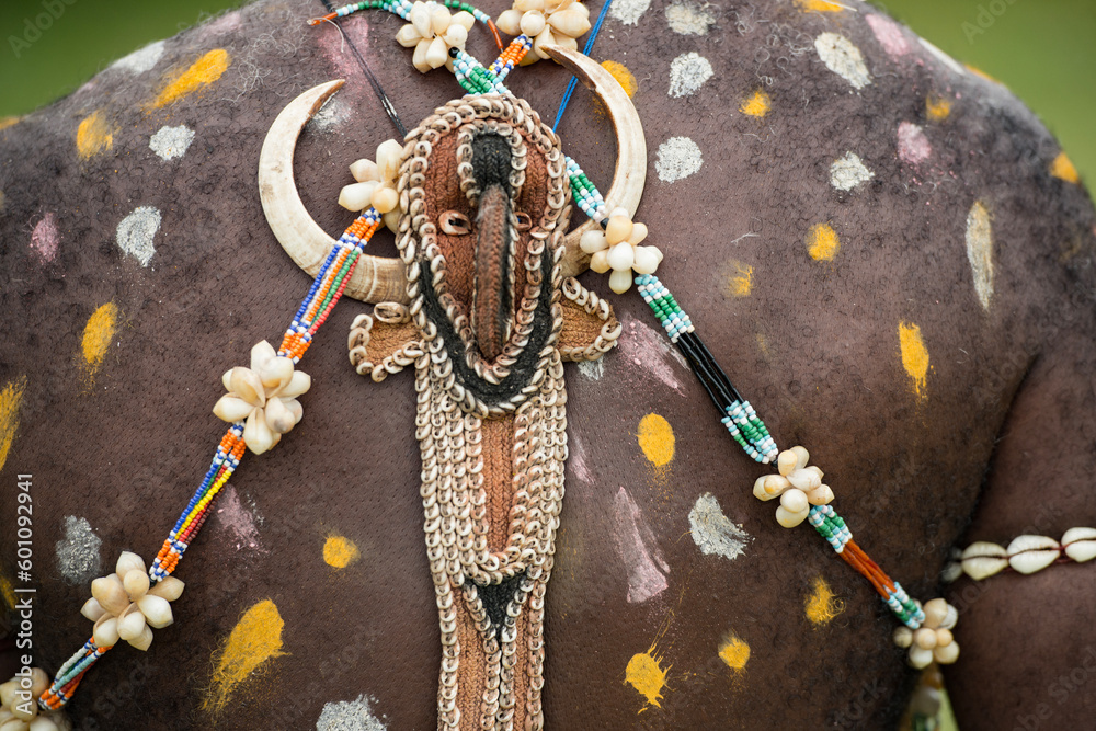 Crocodile festival in Ambunti, Sepik area in Papua New Guinea. Stock ...