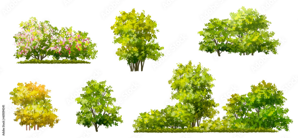 Vector of green grass or shrub isolated on white background,tree ...