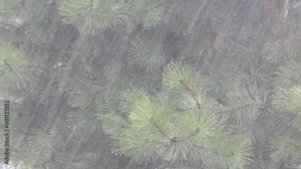 Hail and rainfall in different directions against the backdrop of ...