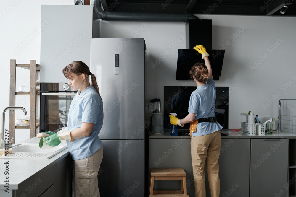 Professional cleaning workers wiping dust from furniture while doing ...