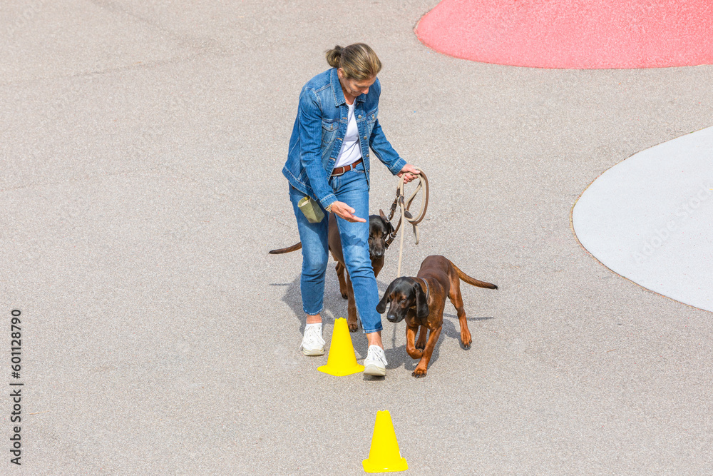 female dog trainer with two sniffer dogs Stock Photo | Adobe Stock