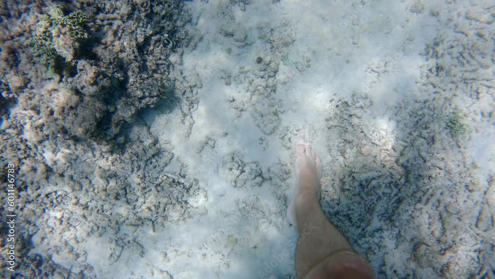 Pov of man walking with his bare feet on reef bottom of ocean in sunlight of caustics. Person ...