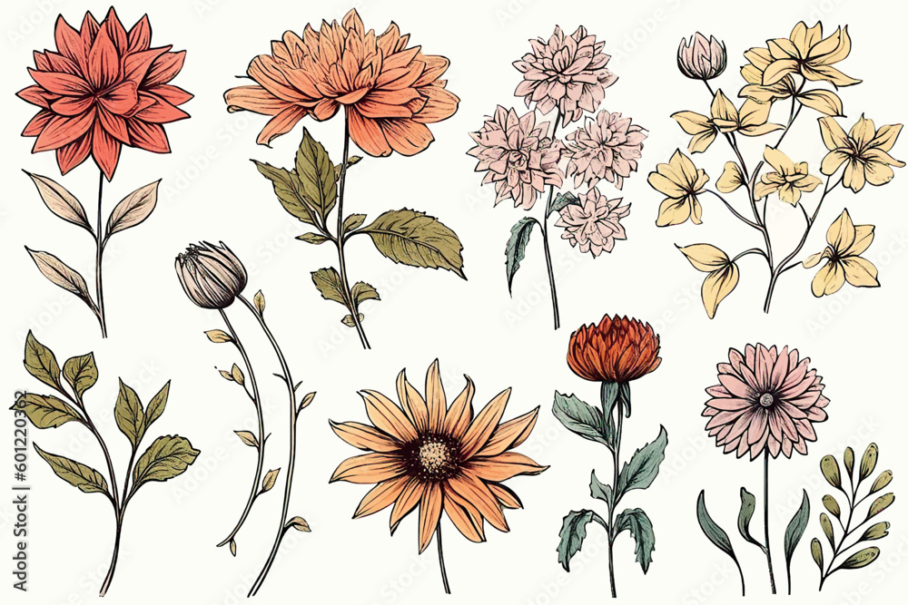 Floral set of hand drawn flowers. Botanical line art wallpaper with ...