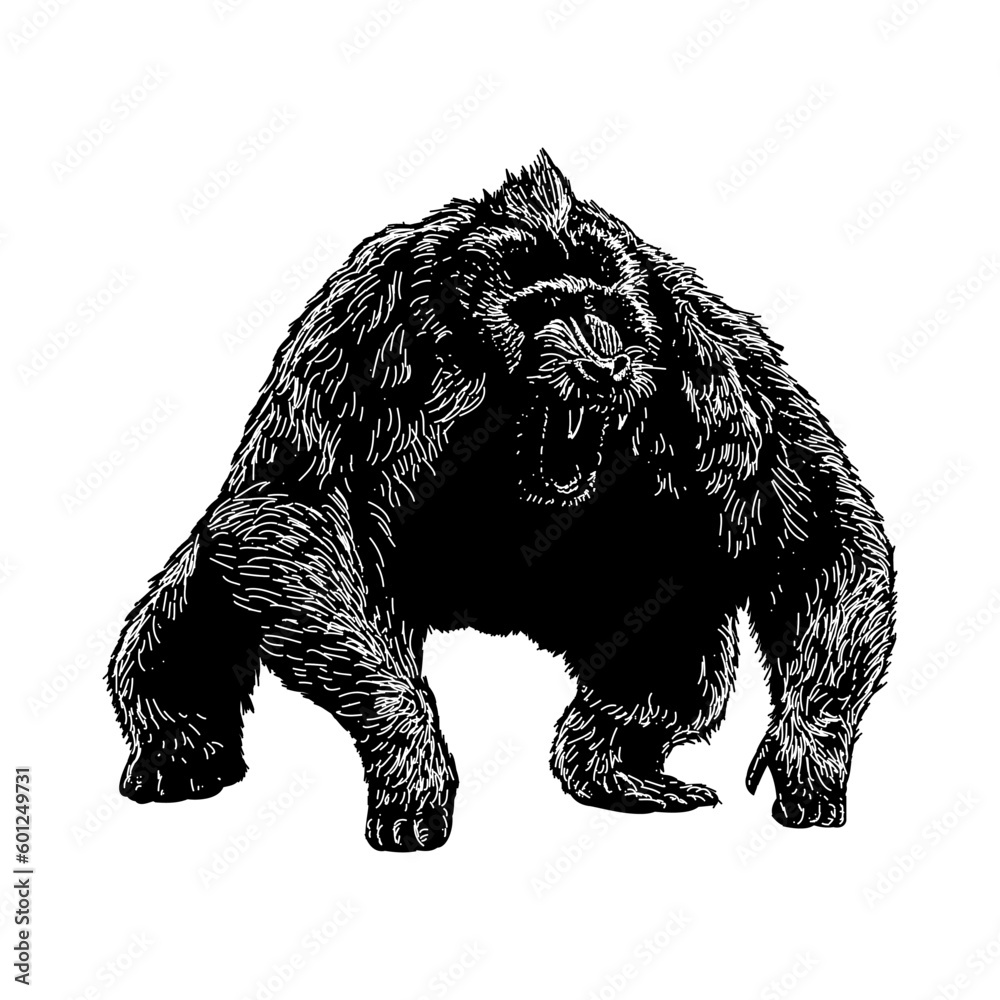 Dinopithecus hand drawing vector isolated on background. Stock Vector ...