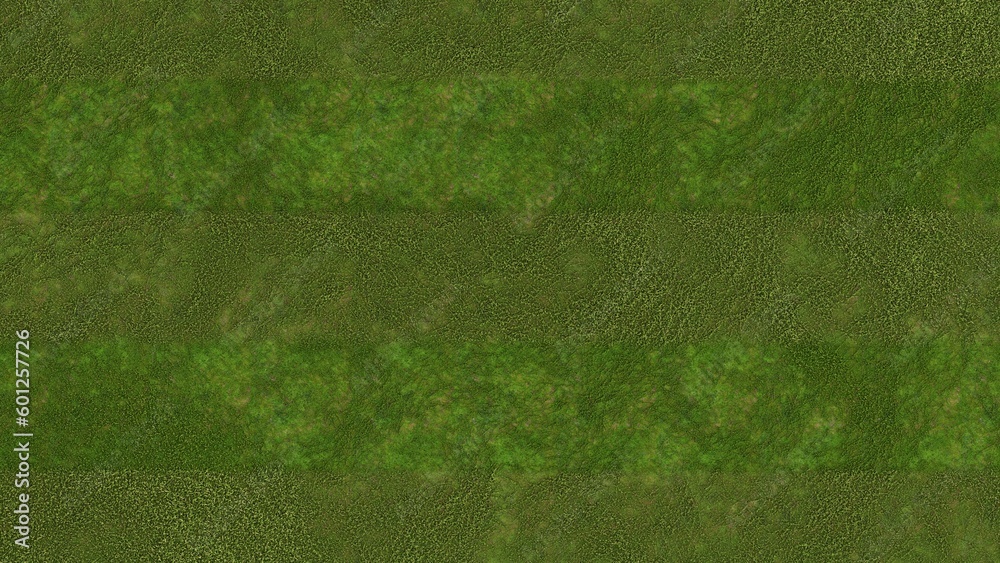 Green grass texture for sport background. Detailed pattern of green ...