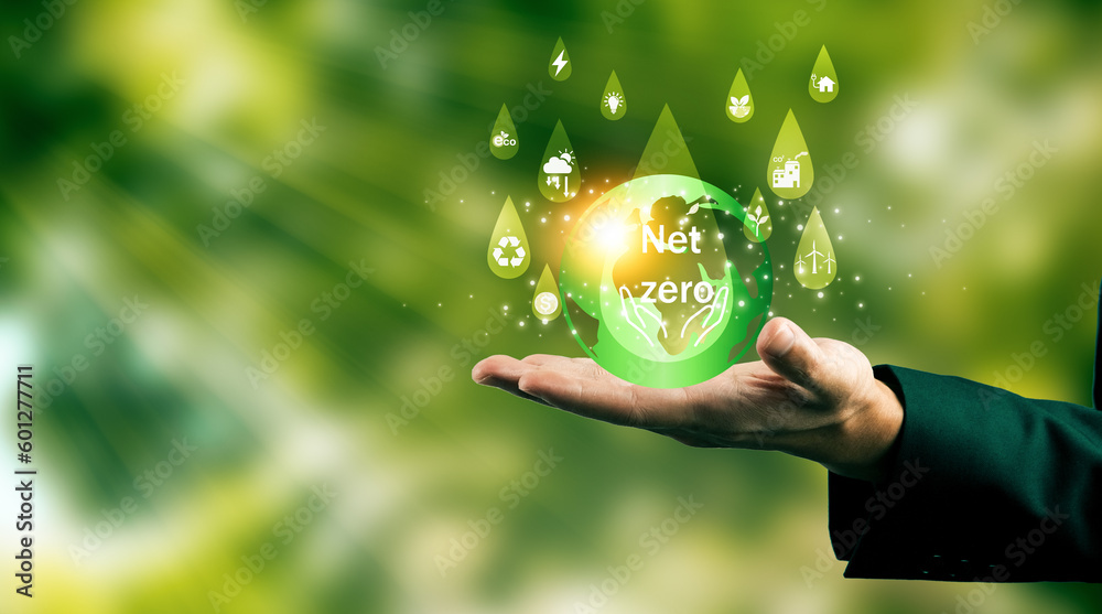 Net Zero Emission Reduction Concept planting trees Help eliminate gas ...