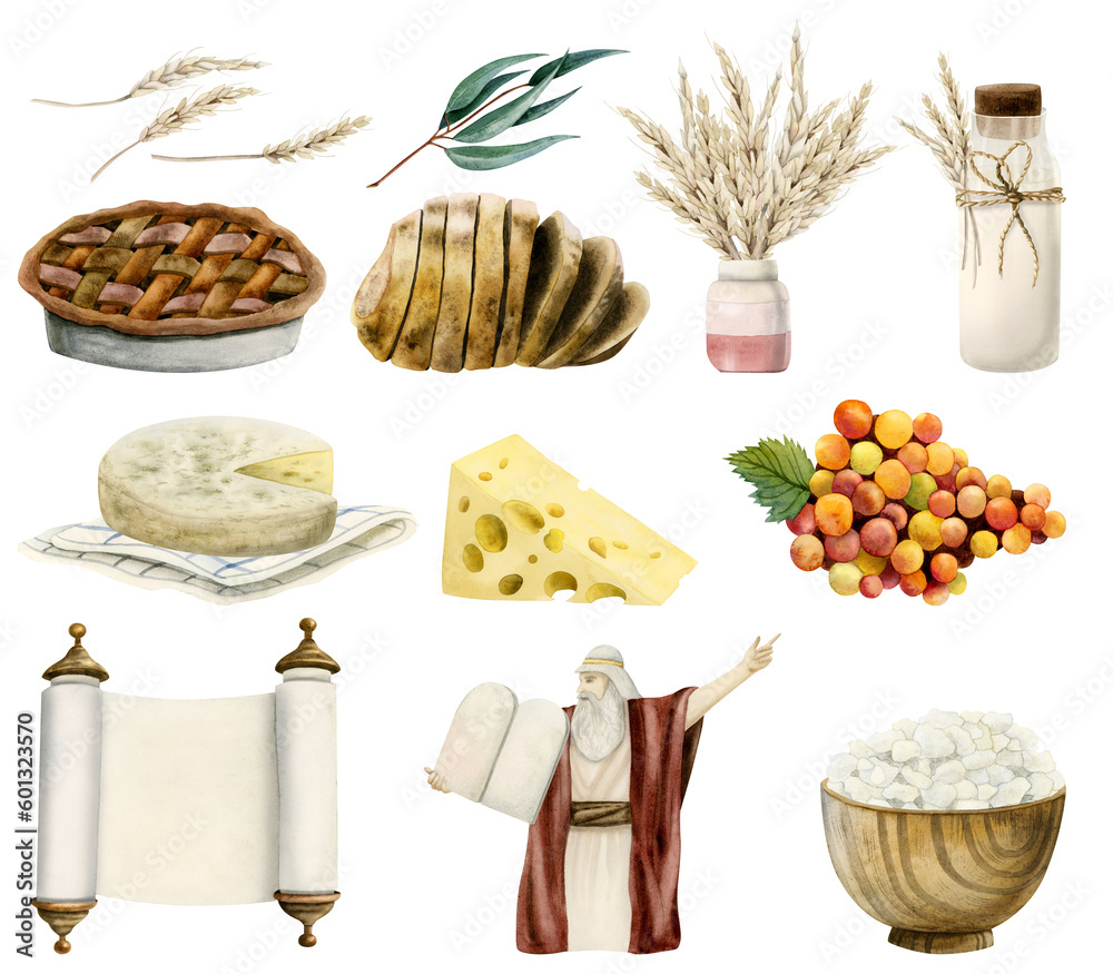 Shavuot symbols and traditional food illustration collection isolated ...