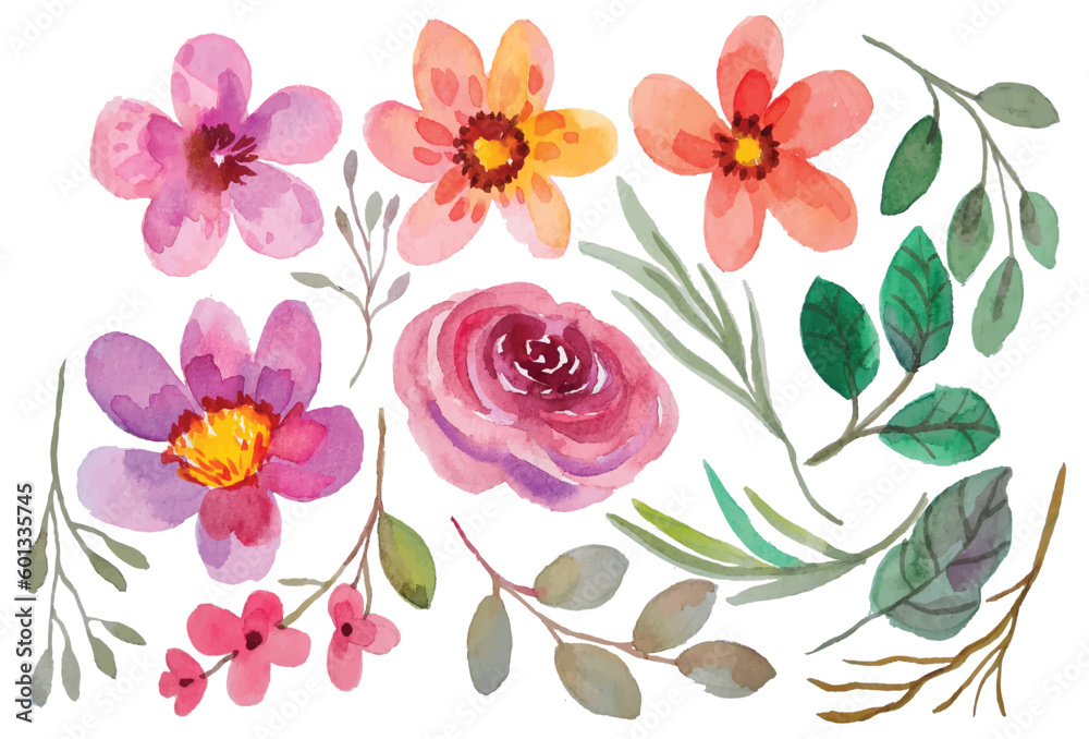 set of watercolor flower elements clipart on isolated background Stock ...
