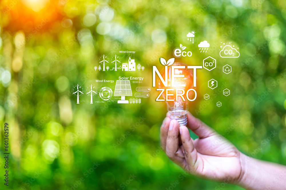 Net zero concept. Hand holding bulb with net zero icon. It is surrounded by a clean energy icon ...