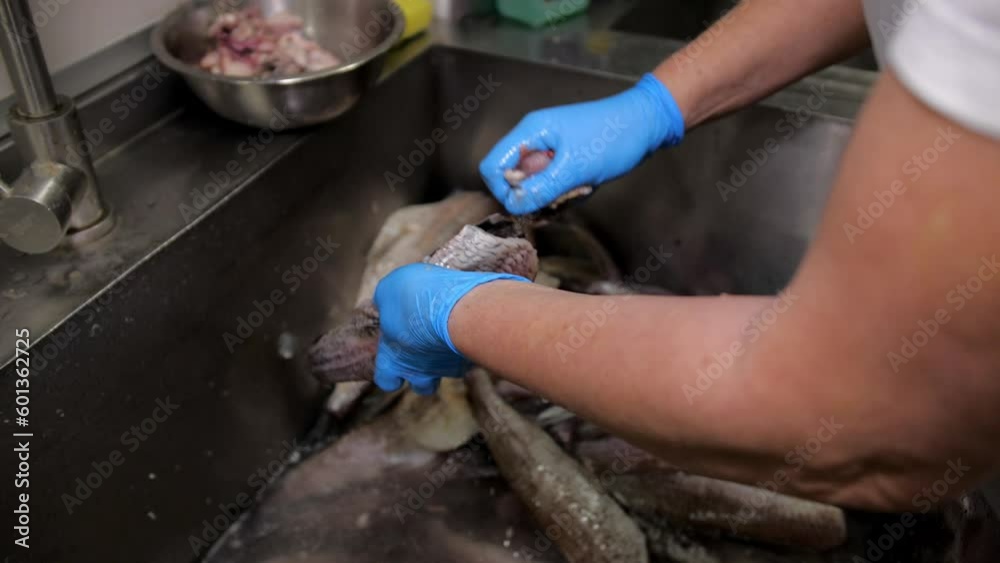 Cleaning the frozen fish lying in the sink in the kitchen. The chef's ...