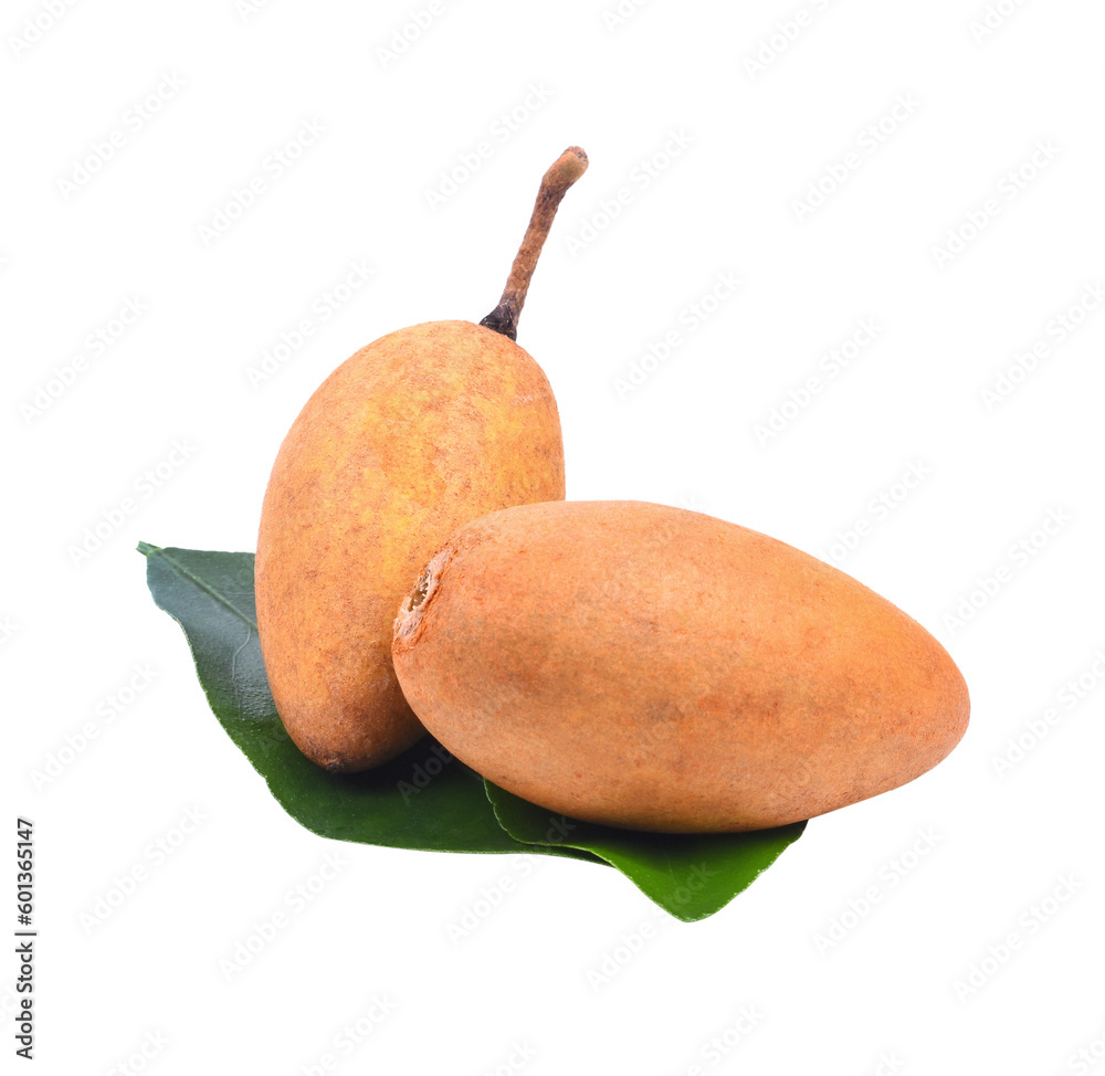 fresh sapote fruits isolated transparent png Stock Photo | Adobe Stock