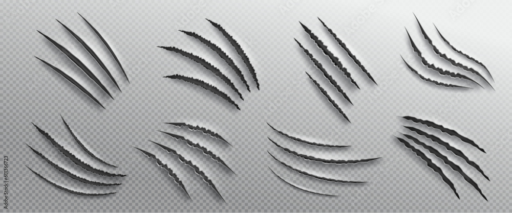 Realistic set of animal claw marks isolated on transparent background ...
