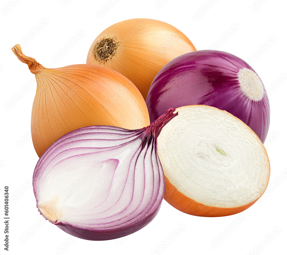 yellow and red onion isolated on white background, full depth of field ...