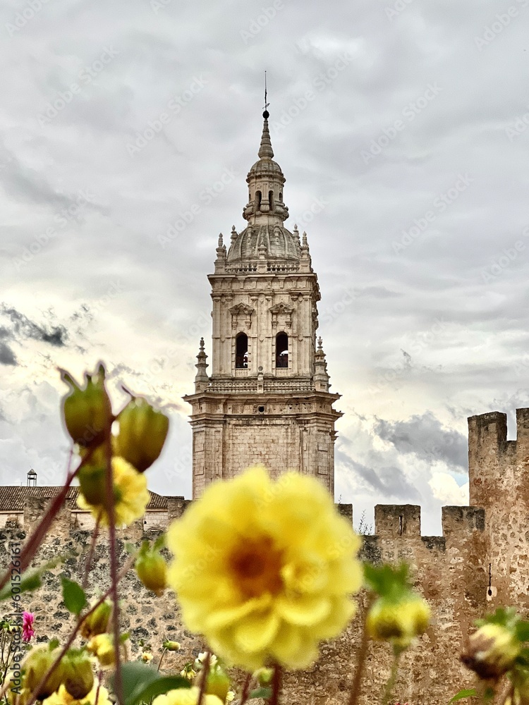 El Burgo de Osma is a medieval city famous for its wall and its ...
