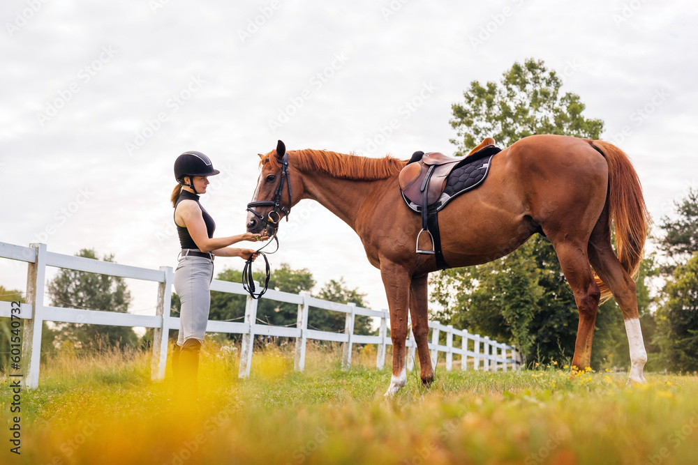 Female rider in equestrian clothes holding the reins and leading her ...
