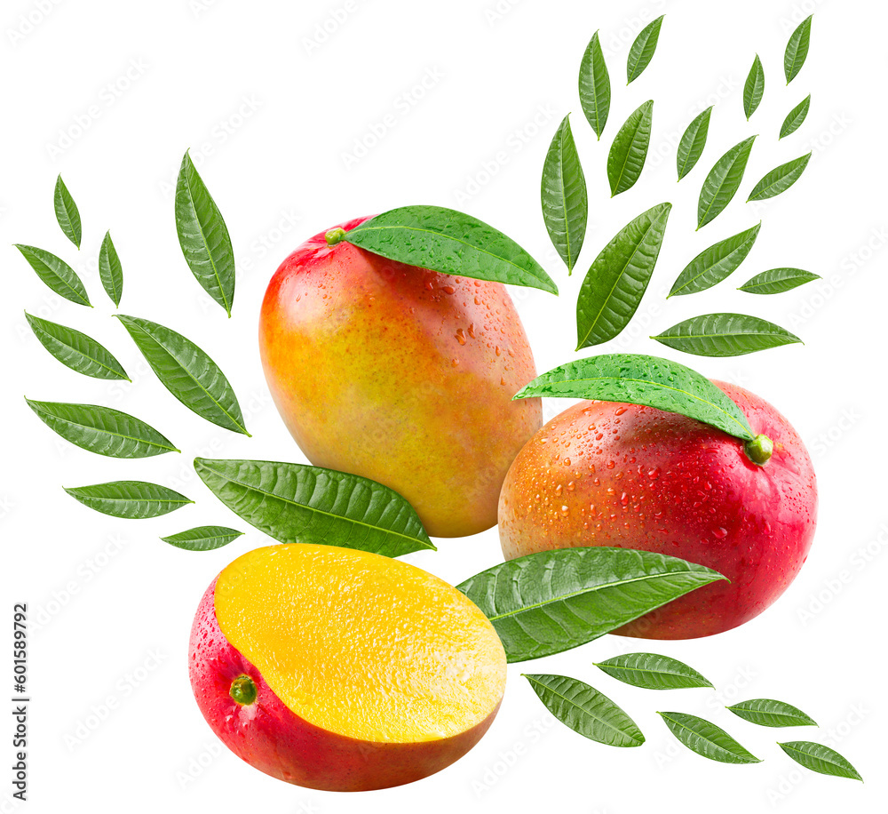 Flying ripe mango with green leaves isolated on white background. Mango ...